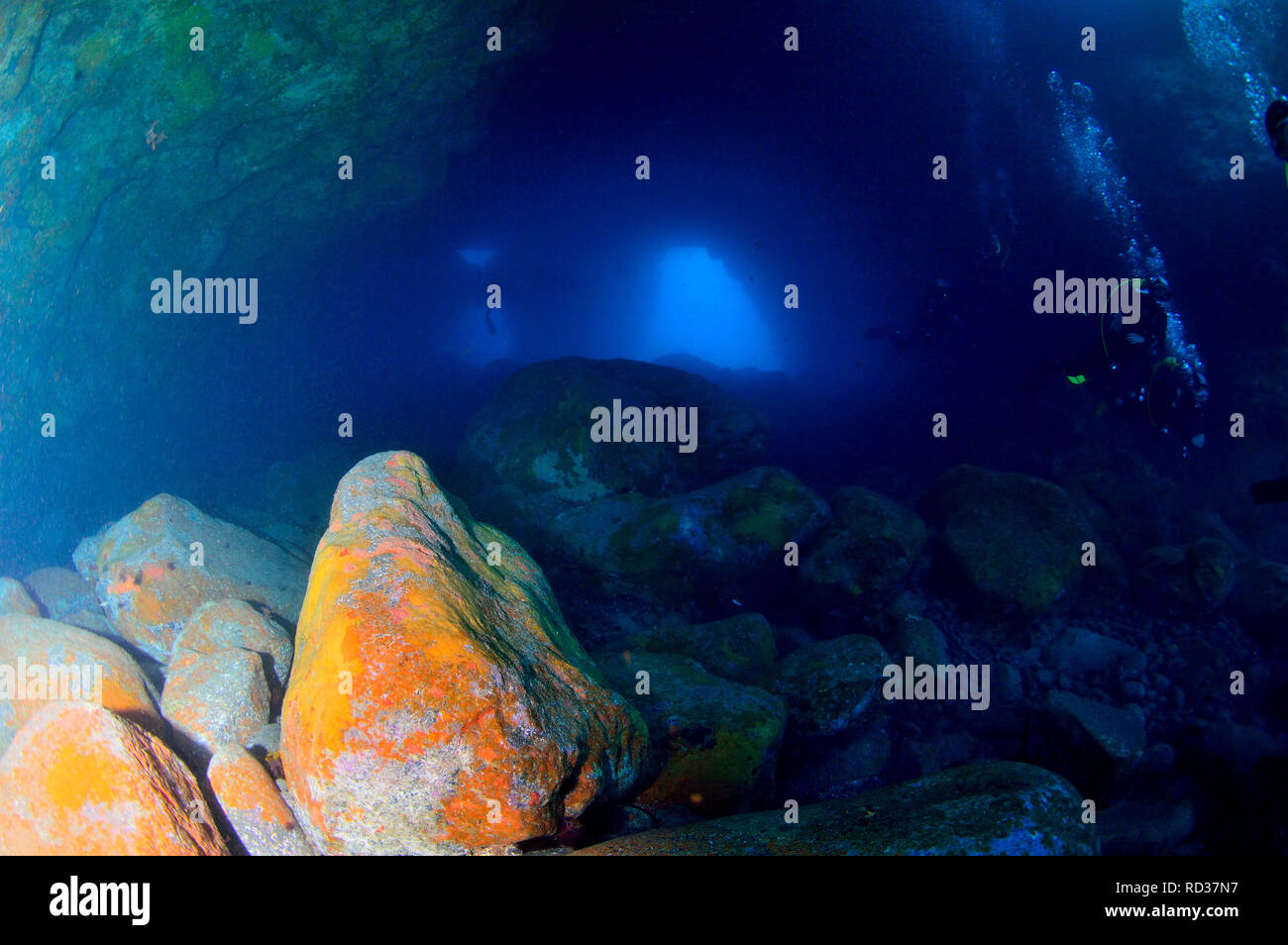 Scuba Diving in Caverns in Tenerife - Canary Islands Stock Photo - Alamy