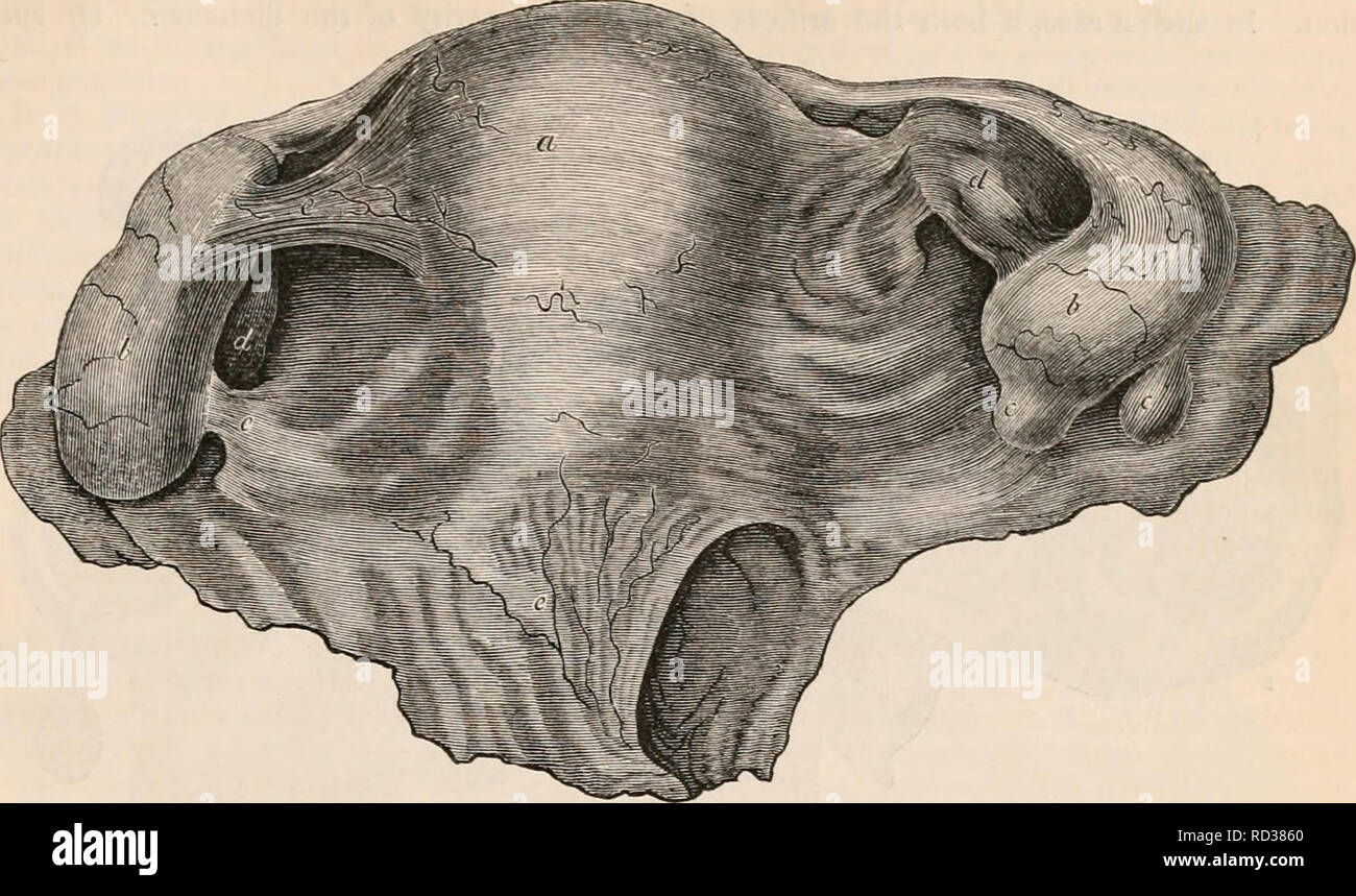 . The cyclopædia of anatomy and physiology. Anatomy; Physiology ...