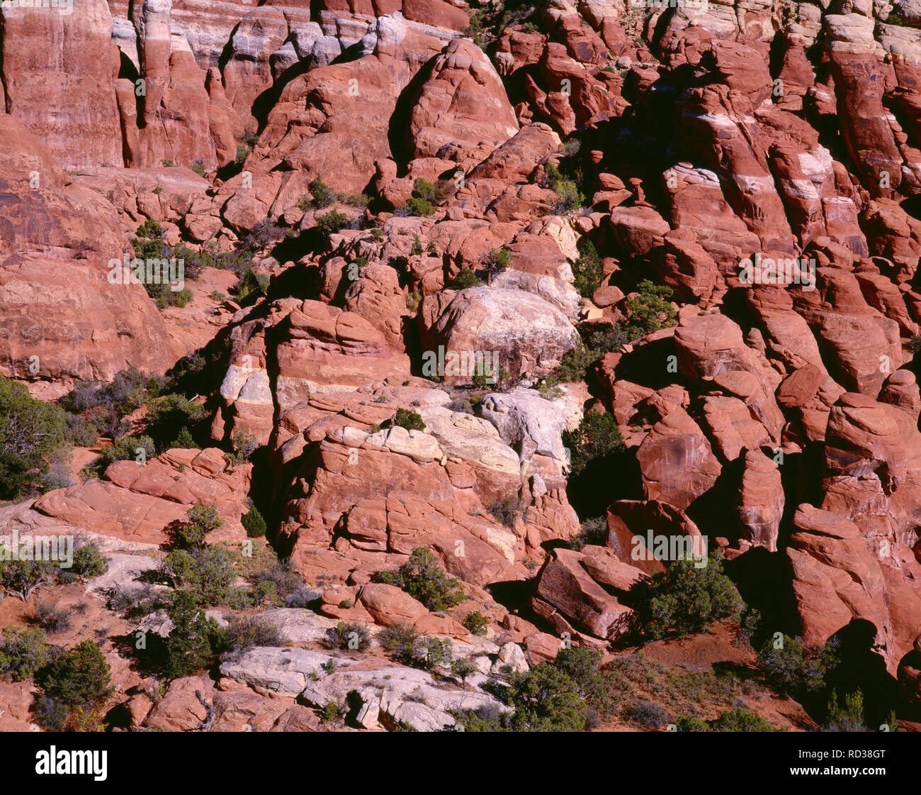 USA, Utah, Arches National Park, Fiery Furnace area with fins composed ...