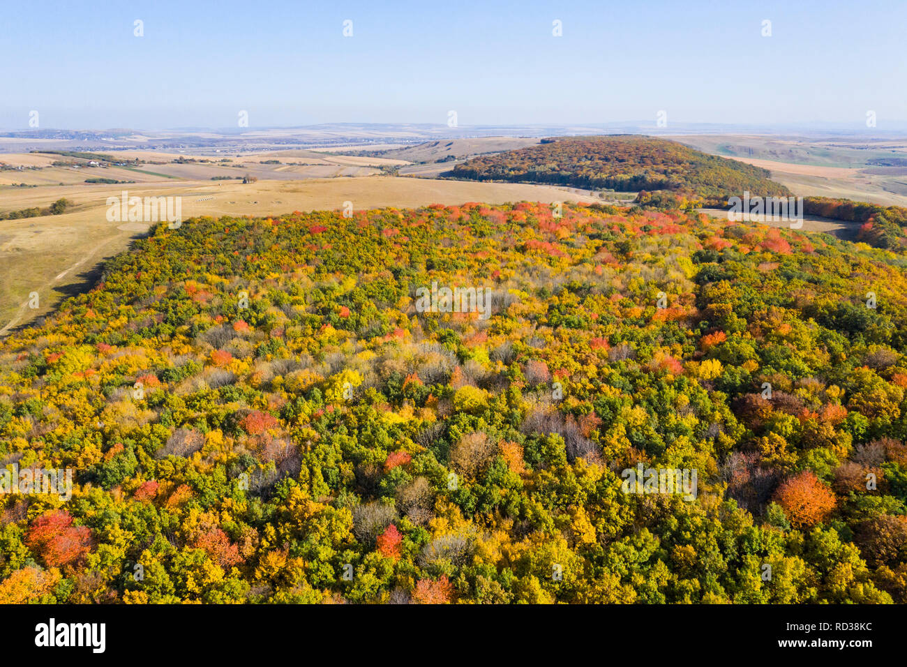 Aerial view of idyllic golden forest, rural landscape Stock Photo - Alamy