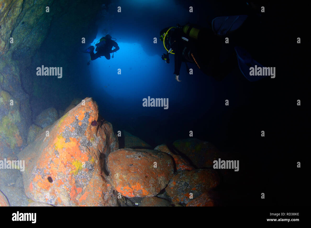 Scuba Diving in Caverns in Tenerife - Canary Islands Stock Photo - Alamy