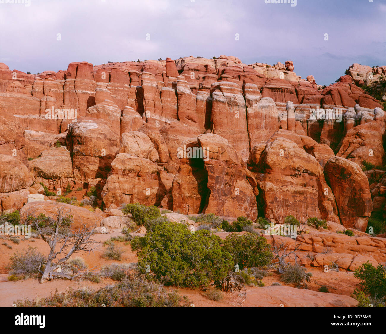USA, Utah, Arches National Park, Fiery Furnace area with fins composed ...