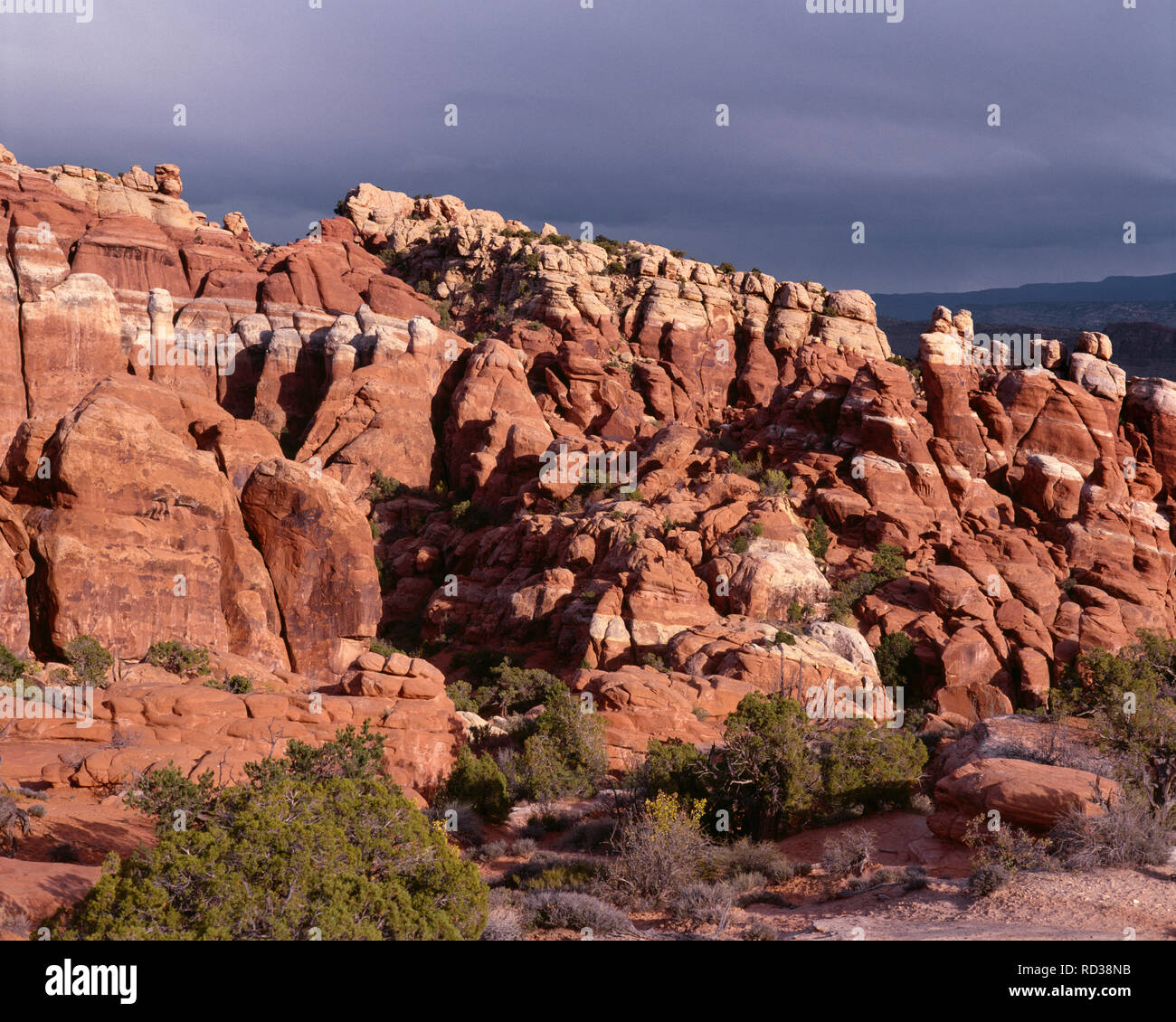 Desert fins hi-res stock photography and images - Alamy