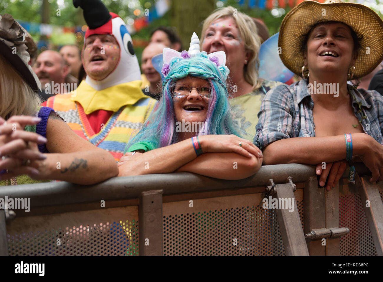 Crowd watching a band at the Bearded Theory music festival Stock Photo ...