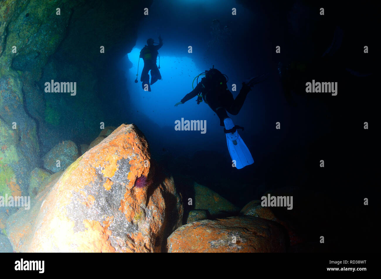 Scuba Diving in Caverns in Tenerife - Canary Islands Stock Photo - Alamy