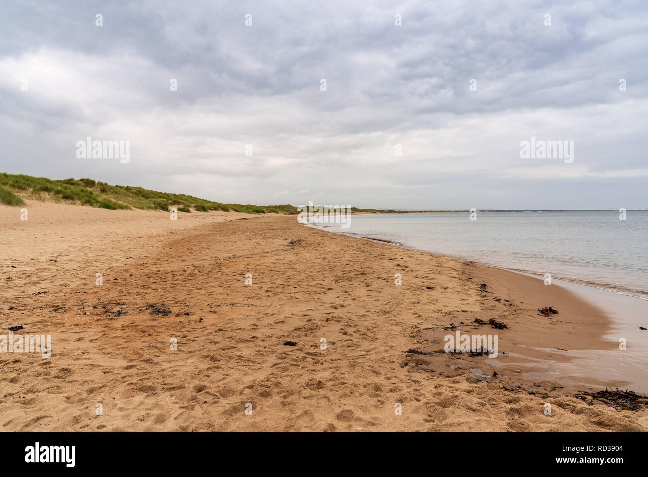 North Sea Coast and the beach near Cresswell in Northumberland, England ...