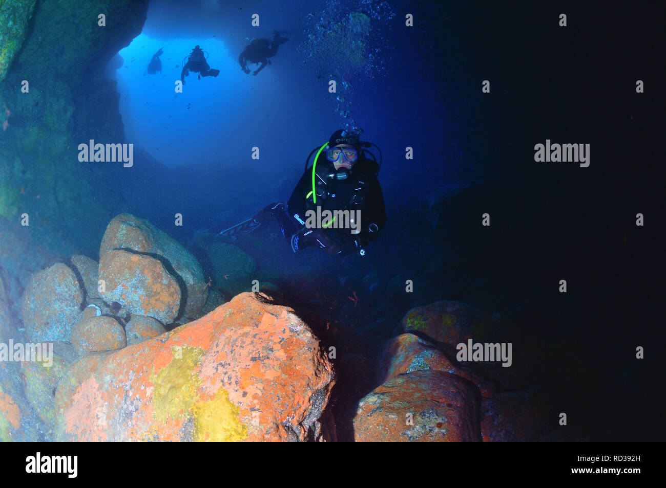 Scuba Diving in Caverns in Tenerife - Canary Islands Stock Photo - Alamy