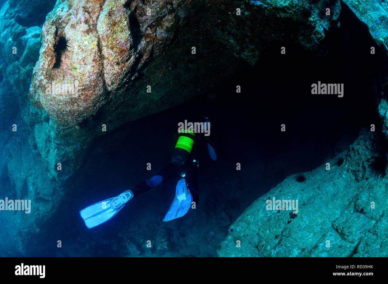 Scuba Diving in Caverns in Tenerife - Canary Islands Stock Photo - Alamy