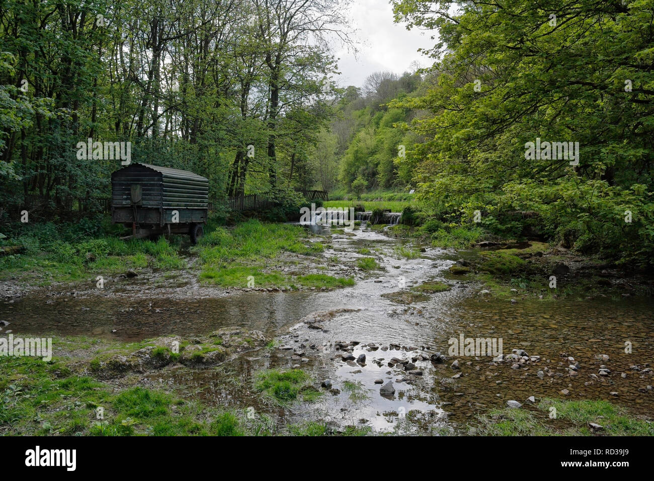 River Lathkill near Over Haddon in Lathkill dale Derbyshire England UK ...