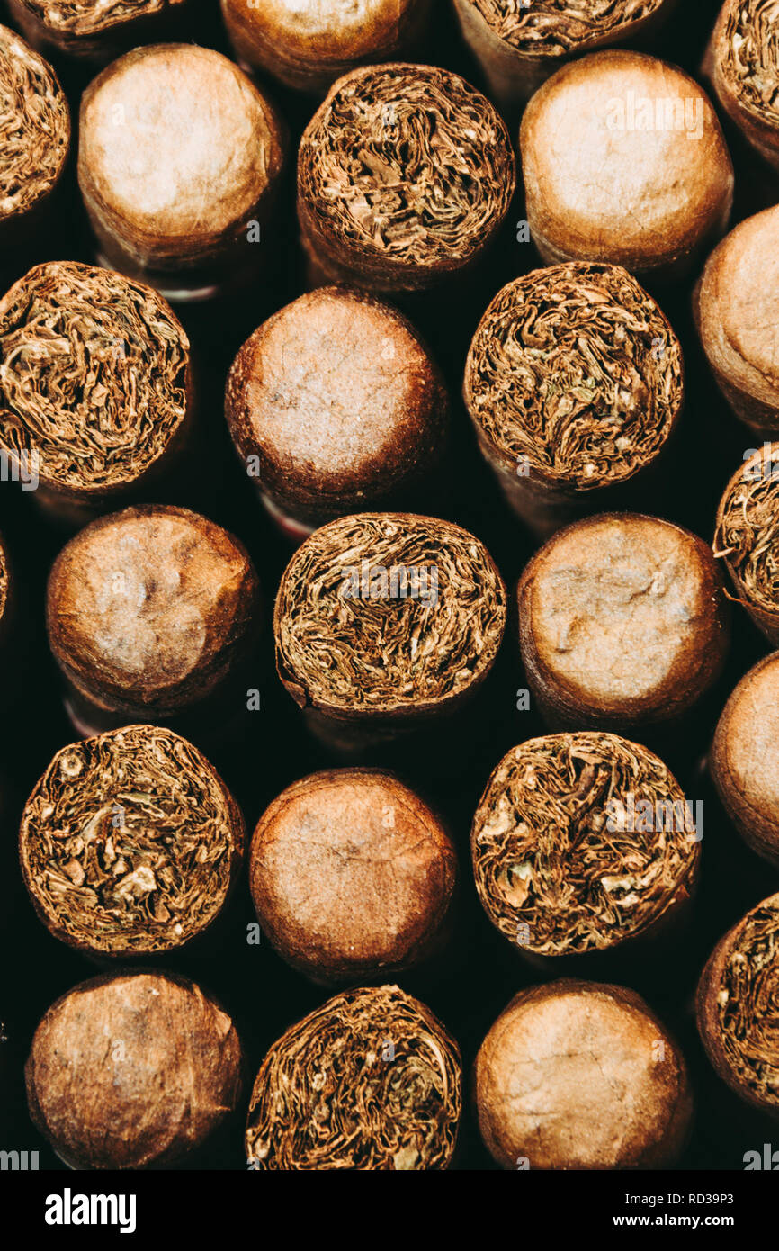 Cigars: Cuban Cigars - Close up of luxury hand rolled imported cigars ...