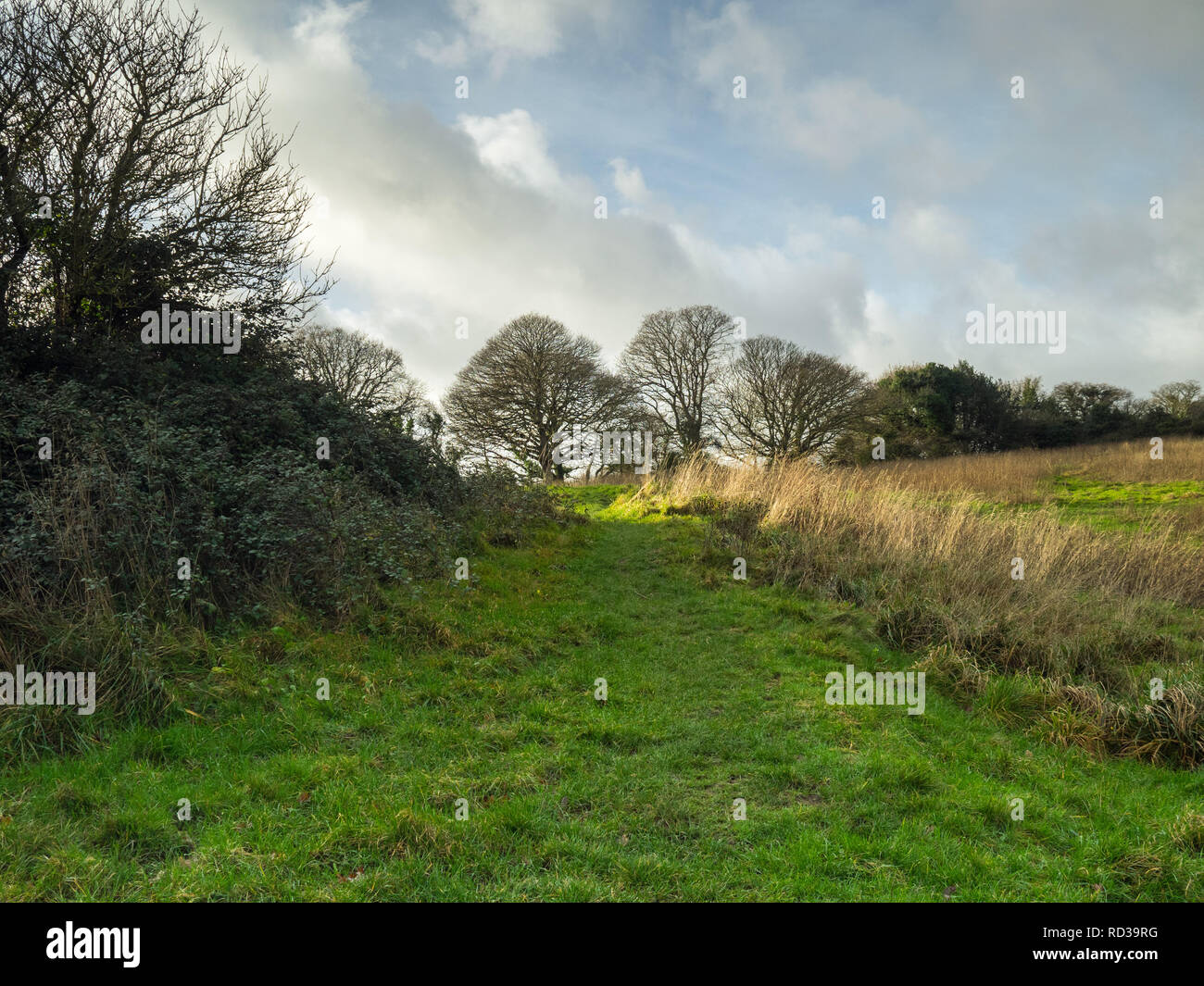 Beautiful scenic views of the North Devon countryside Stock Photo - Alamy
