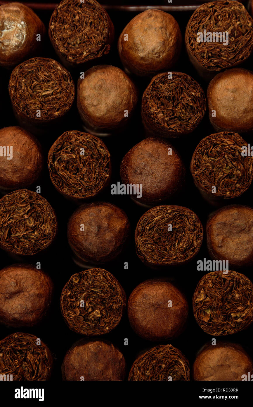 Cigars: Cuban Cigars - Close up of luxury hand rolled imported cigars ...