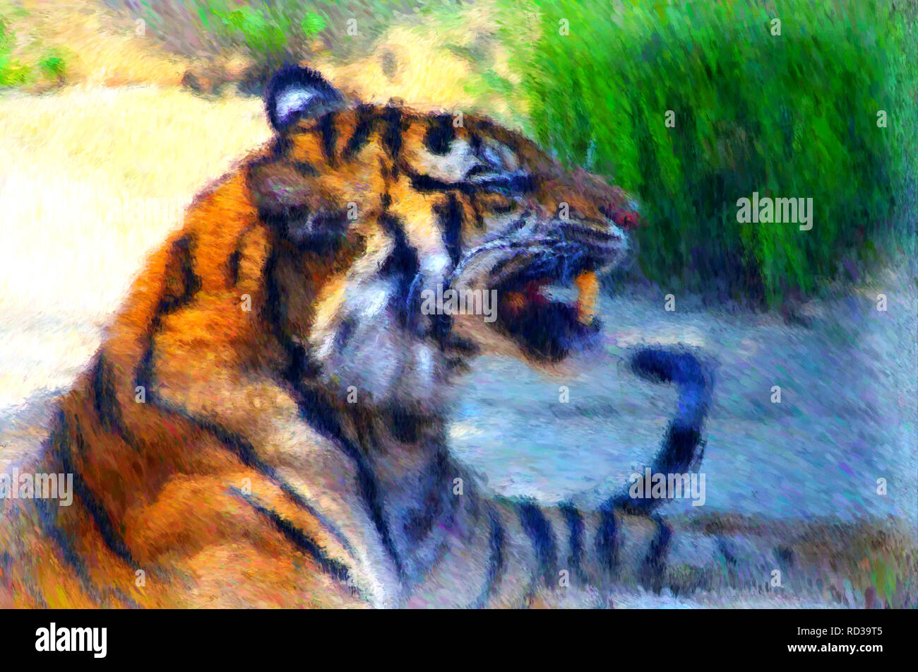 Illustration of Growling Tiger Stock Photo - Alamy