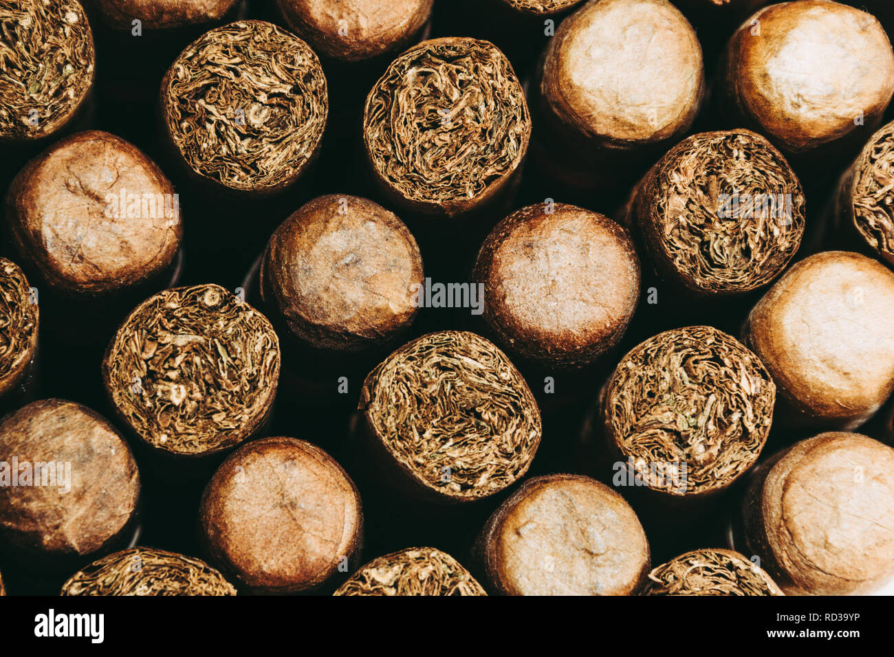 Cigars: Cuban Cigars - Close up of luxury hand rolled imported cigars ...