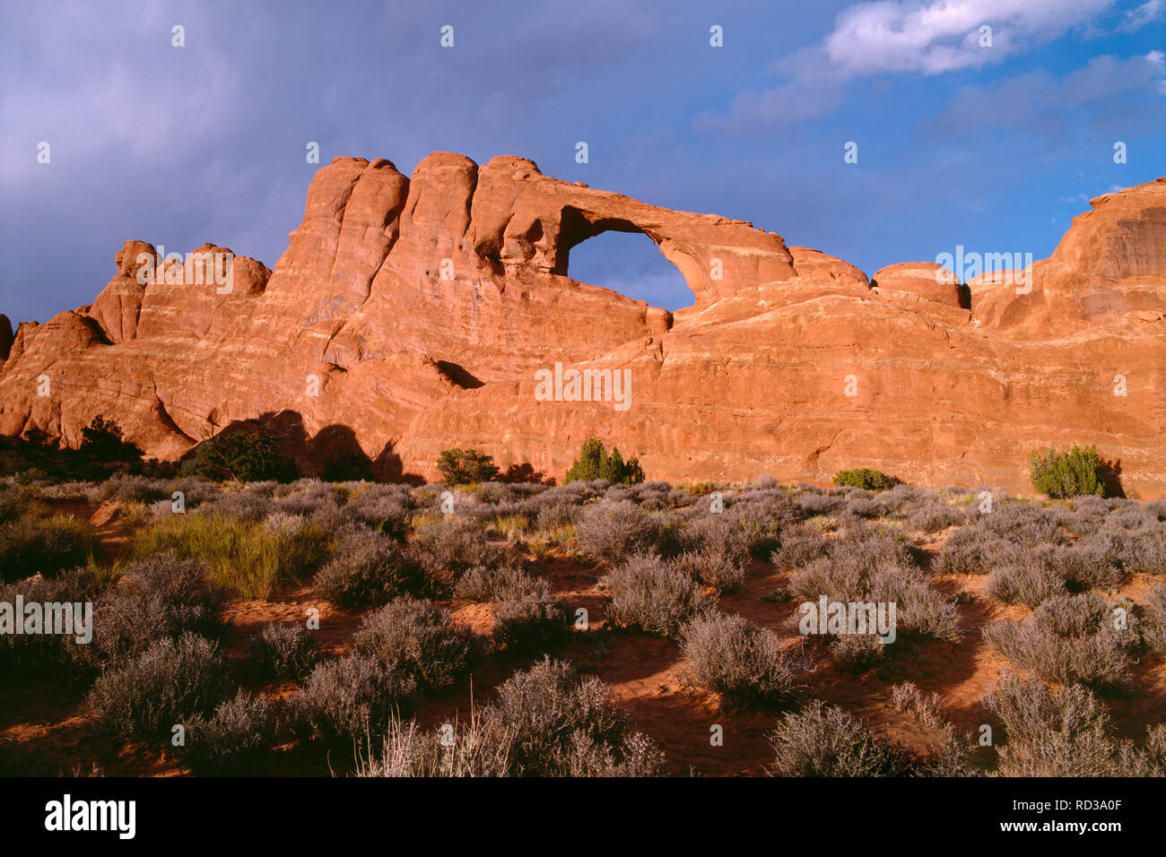 USA, Utah, Arches National Park, Sunset on Skyline Arch which is a ...
