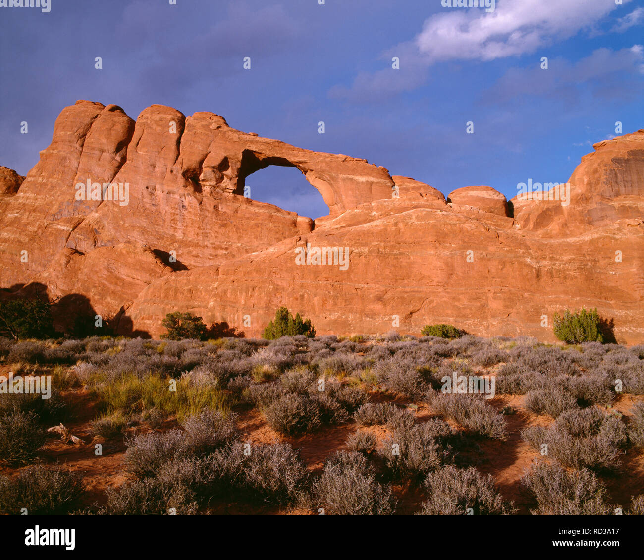 USA, Utah, Arches National Park, Sunset on Skyline Arch which is a ...