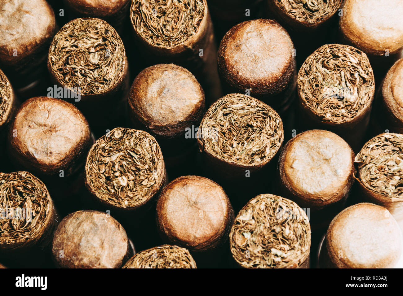 Cigars: Cuban Cigars - Close up of luxury hand rolled imported cigars ...