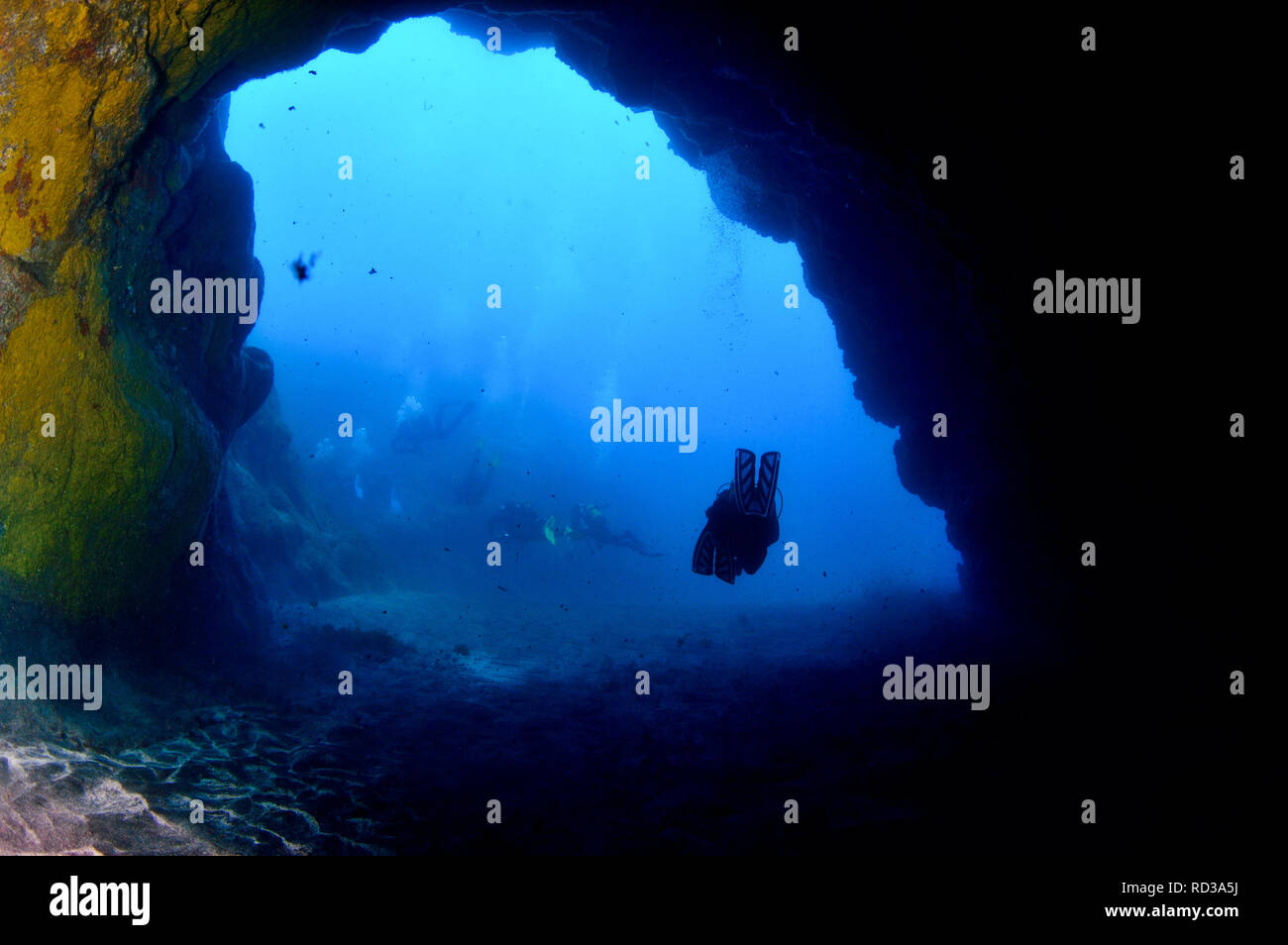 Scuba Diving in Caverns in Tenerife - Canary Islands Stock Photo - Alamy