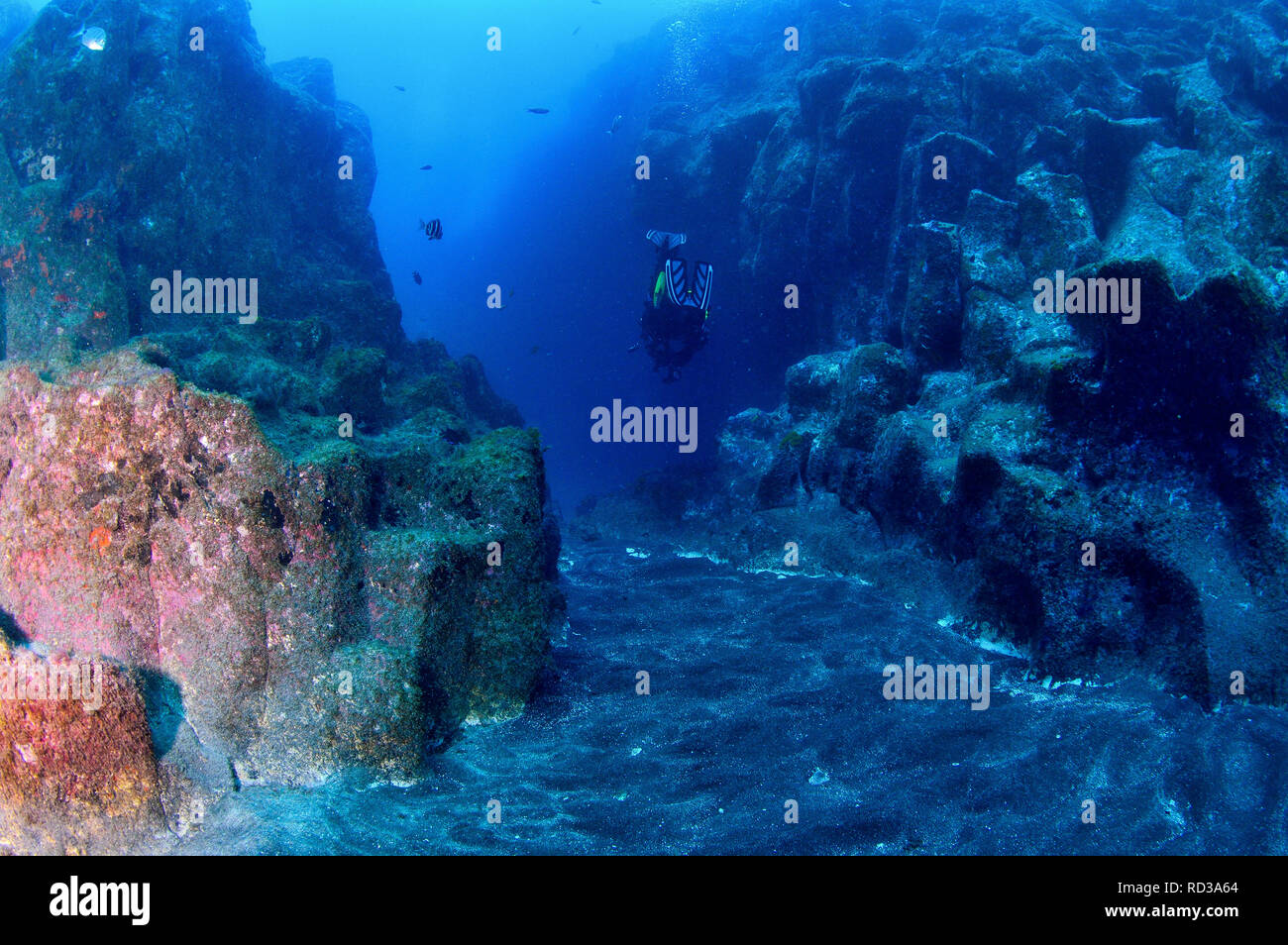 Scuba Diving n Tenerife - Canary Islands Stock Photo - Alamy