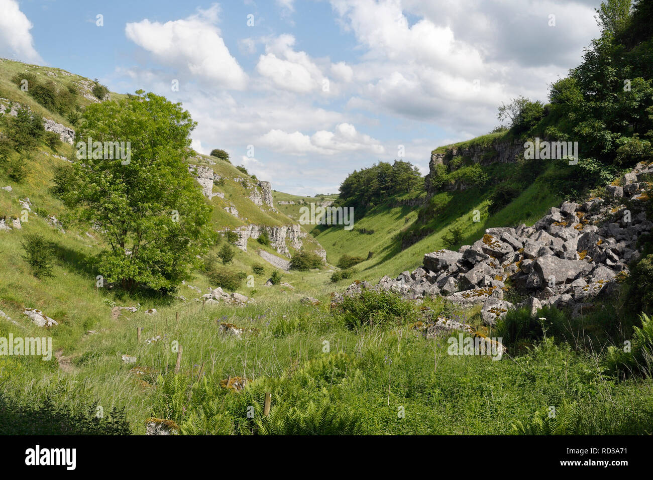 Dale valley hi-res stock photography and images - Alamy
