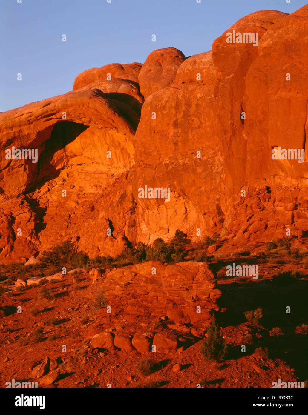USA, Utah, Arches National Park, Sunset on eroded Entrada Sandstone ...