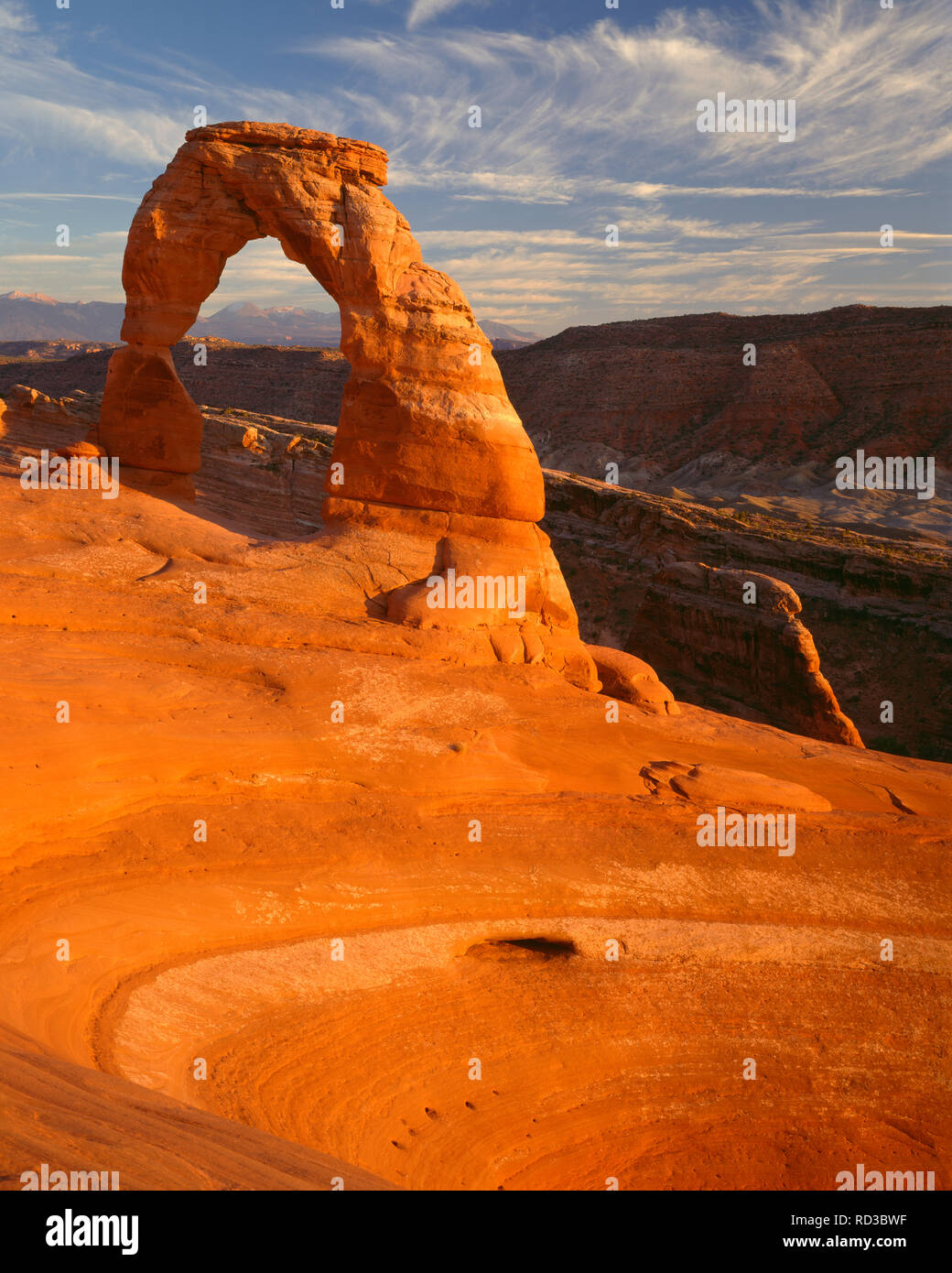 Arches of foot hi-res stock photography and images - Alamy