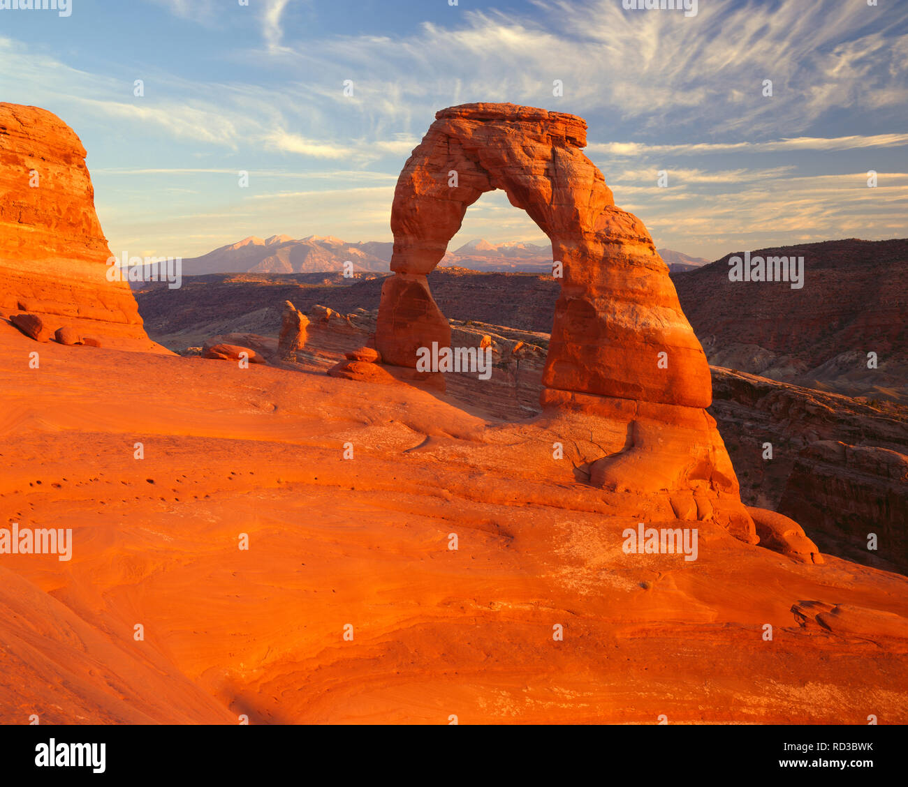Arches of foot hi-res stock photography and images - Alamy