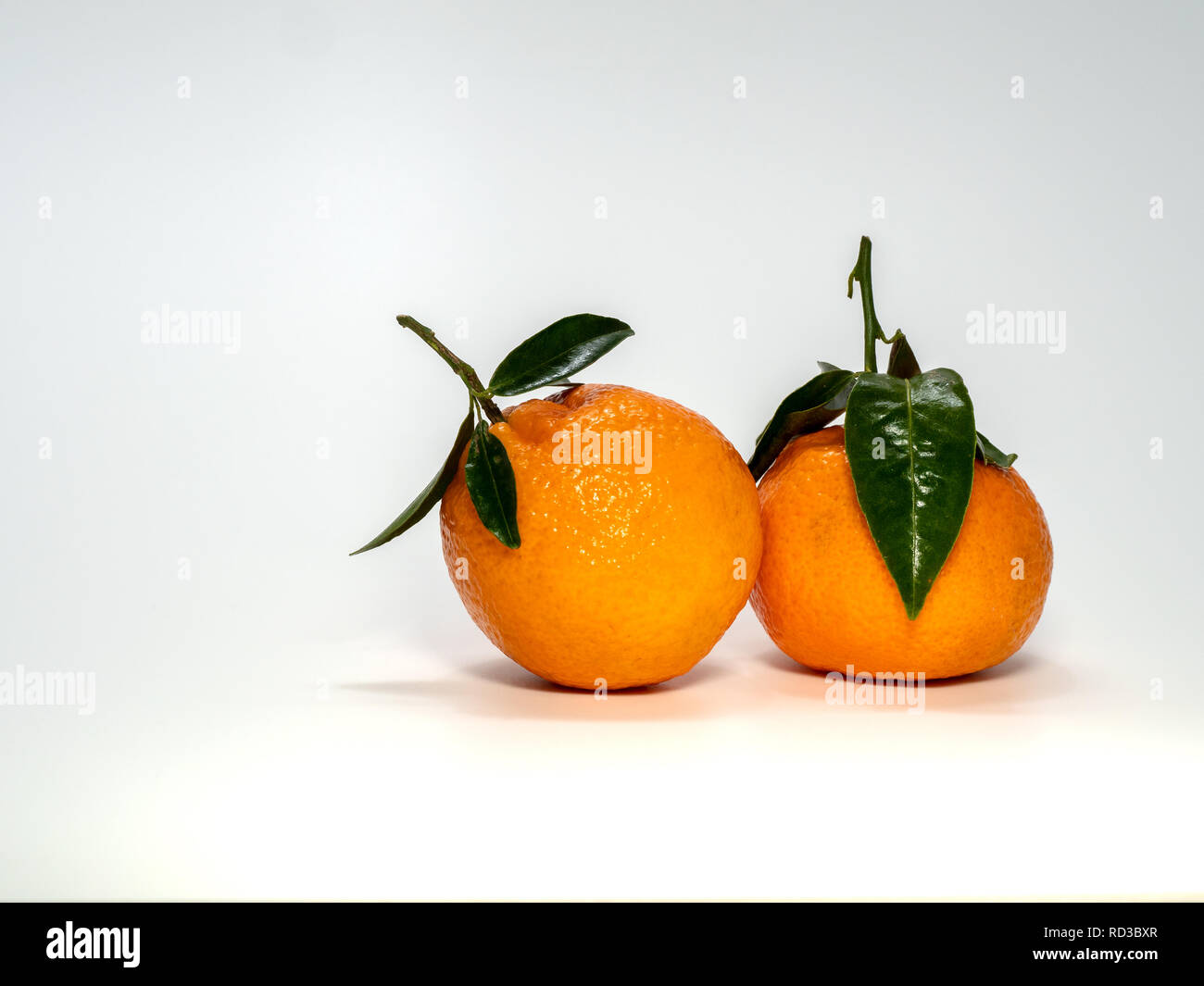 two tangerines with stems and leaves, small Stock Photo - Alamy