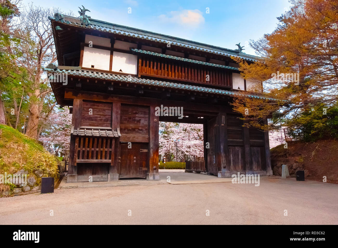 Hirosaki, Japan - April 23 2018: Full bloom Sakura - Cherry Blossom at ...
