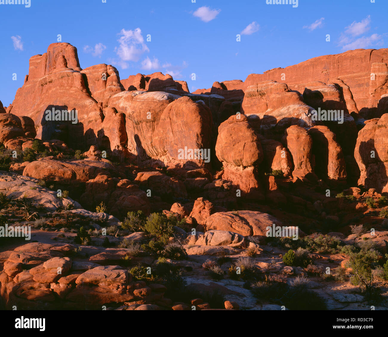 Fin formation hi-res stock photography and images - Alamy