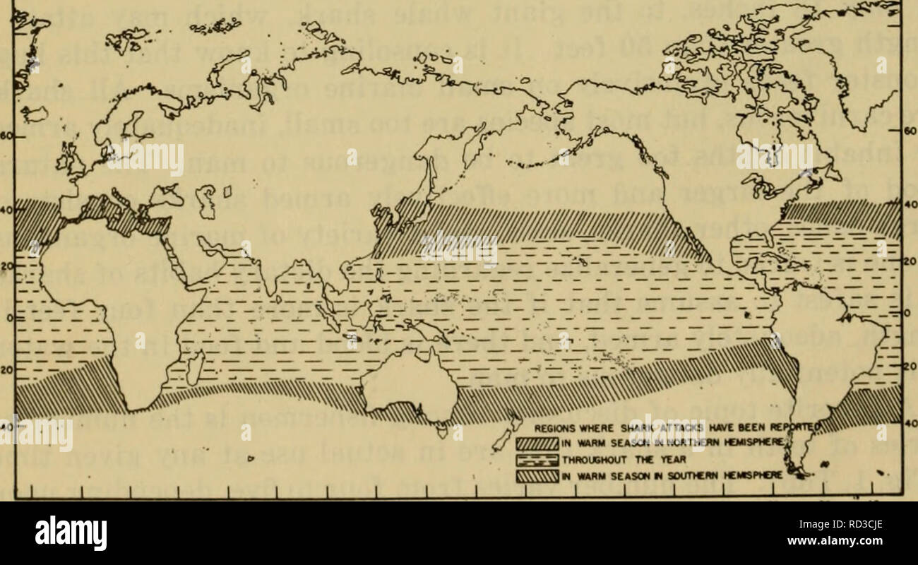 Shark teeth rows hi-res stock photography and images - Alamy