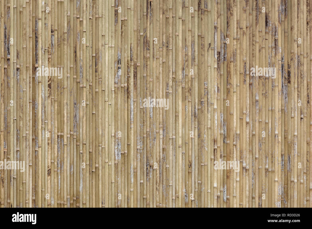 This is close up of bamboo texture background Stock Photo - Alamy