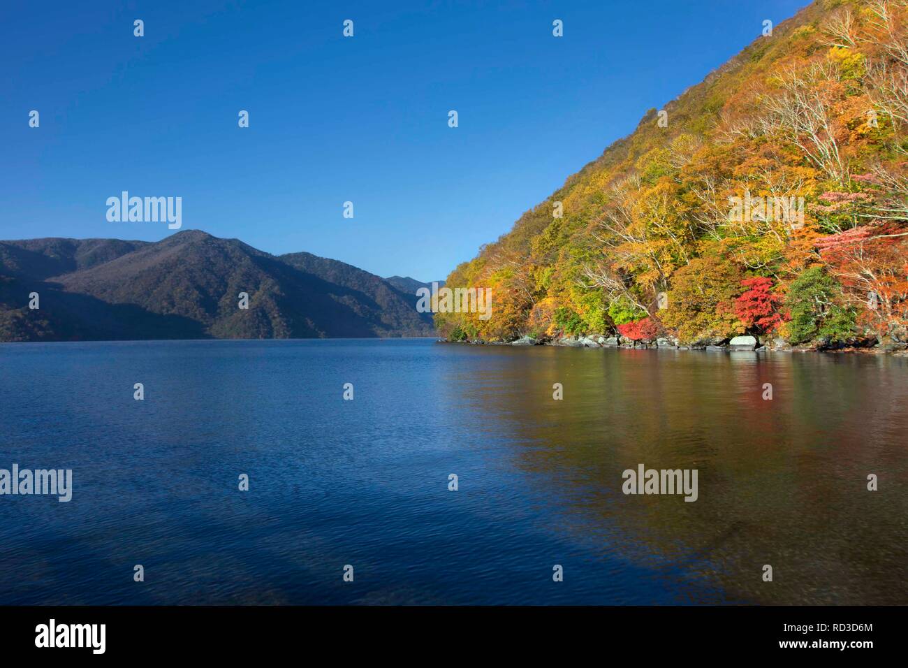 Autumn landscape, Lake Chusenji, Nikko National Park, Nikko, Tochigi ...