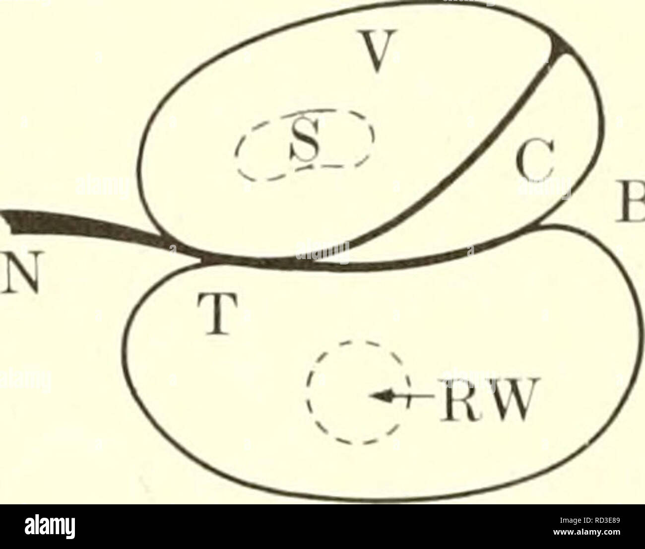 Epstein herman hi-res stock photography and images - Alamy