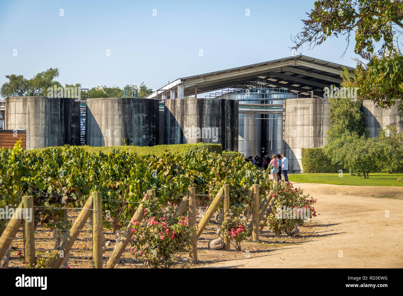 Undurraga hi-res stock photography and images - Alamy