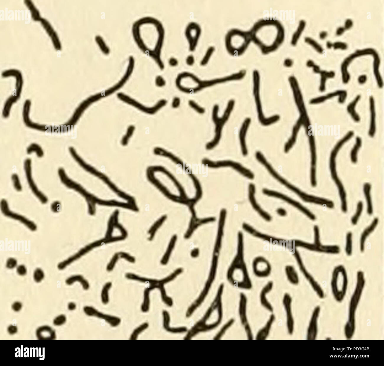 . The cytoplasm of the plant cell. Plant cells and tissues; Protoplasm ...