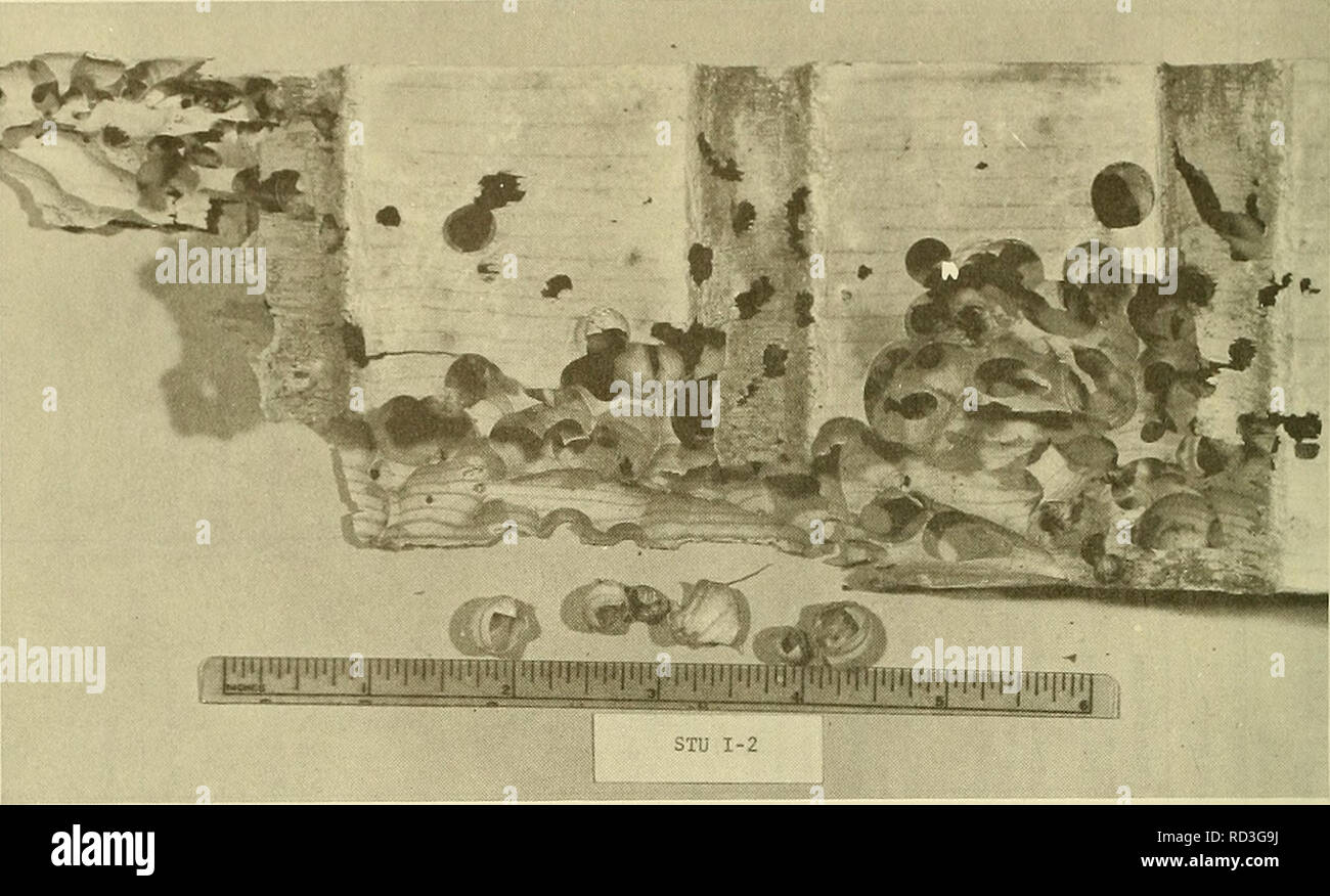 . Deep-ocean biodeterioration of materials. Materials; Marine sediments ...