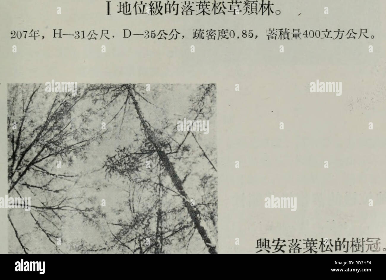 . da xing an ling sen lin zi yuan diao cha bao gao. botany. . Please ...