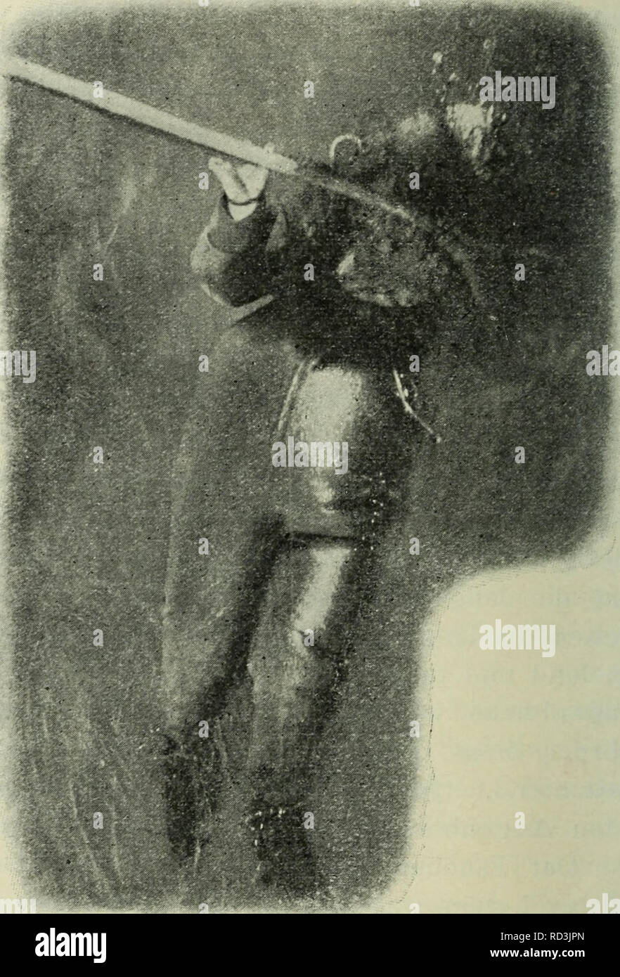 Importance in marine biology studies hi-res stock photography and ...