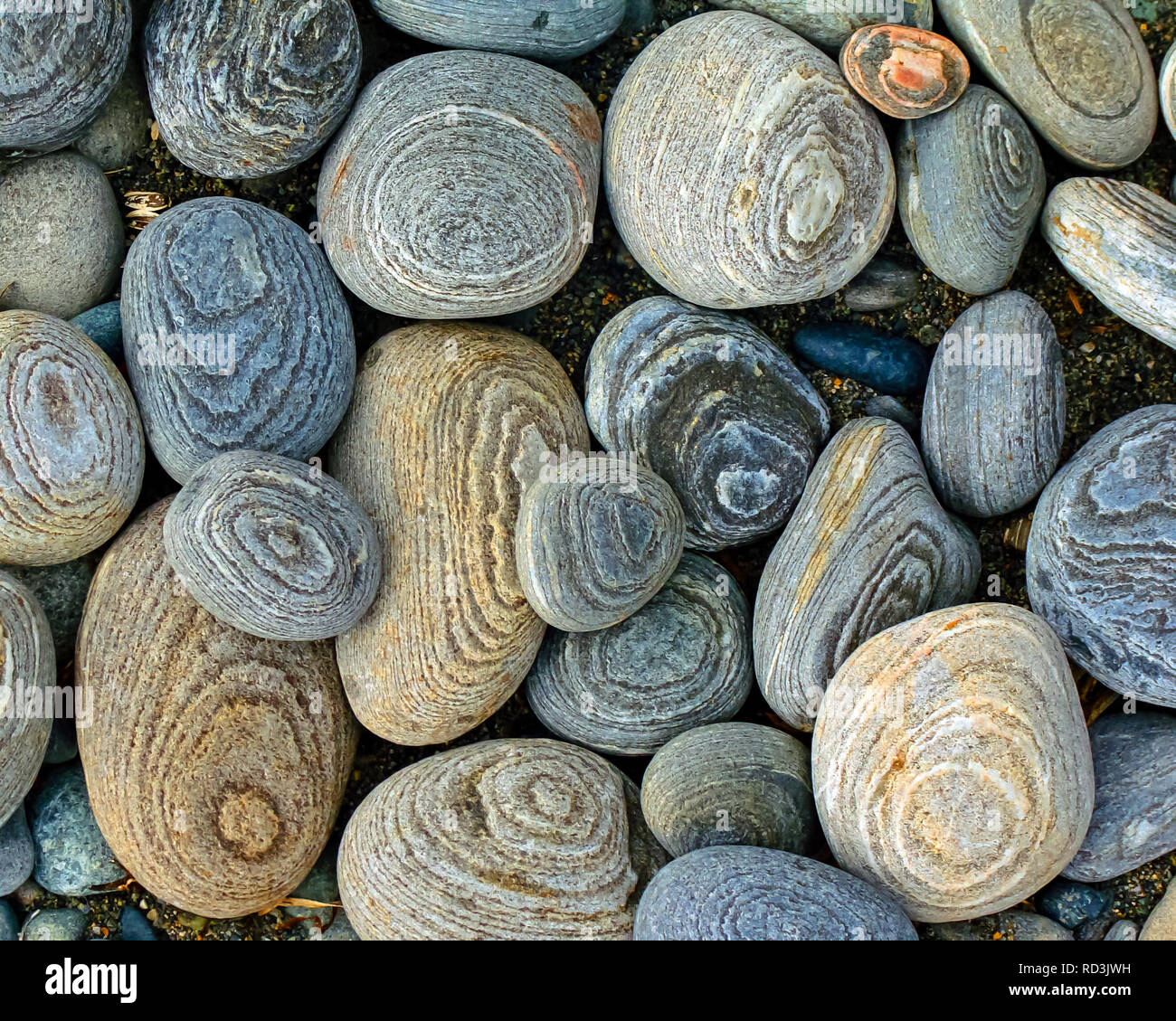 Overhead view of rocks on a beach, Canada Stock Photo - Alamy