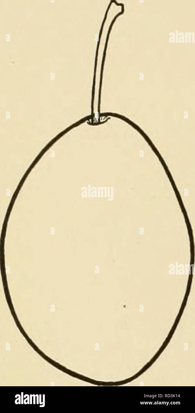 Giant Fruit Characters High Resolution Stock Photography and Images - Alamy