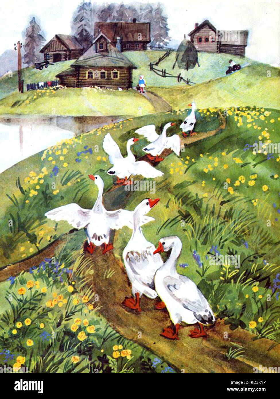 Beautiful vintage nature illustration Stock Photo - Alamy