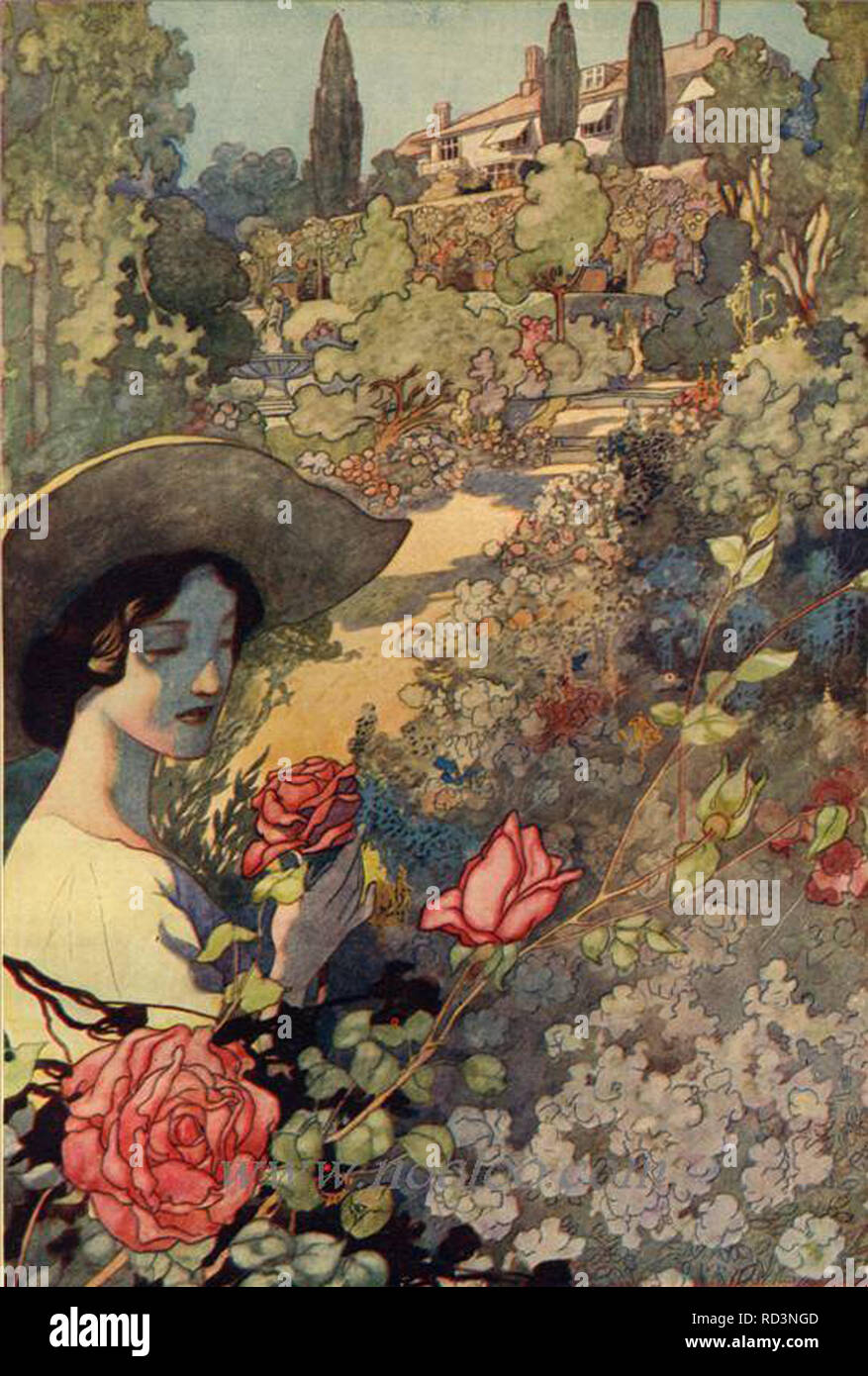 Beautiful vintage nature illustration Stock Photo - Alamy