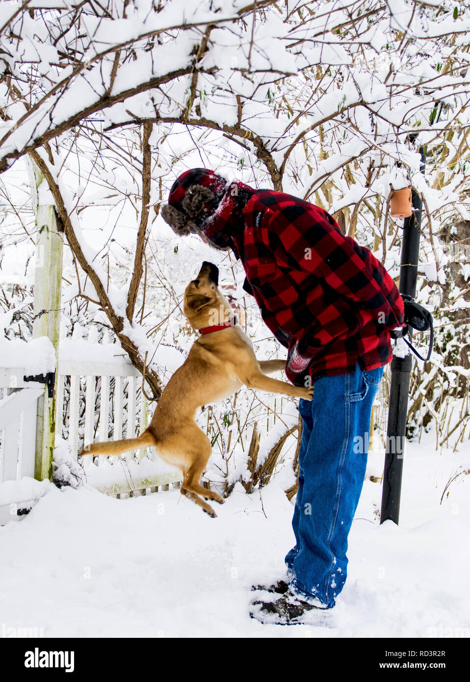 Let's Play in the Snow! Stock Photo - Alamy