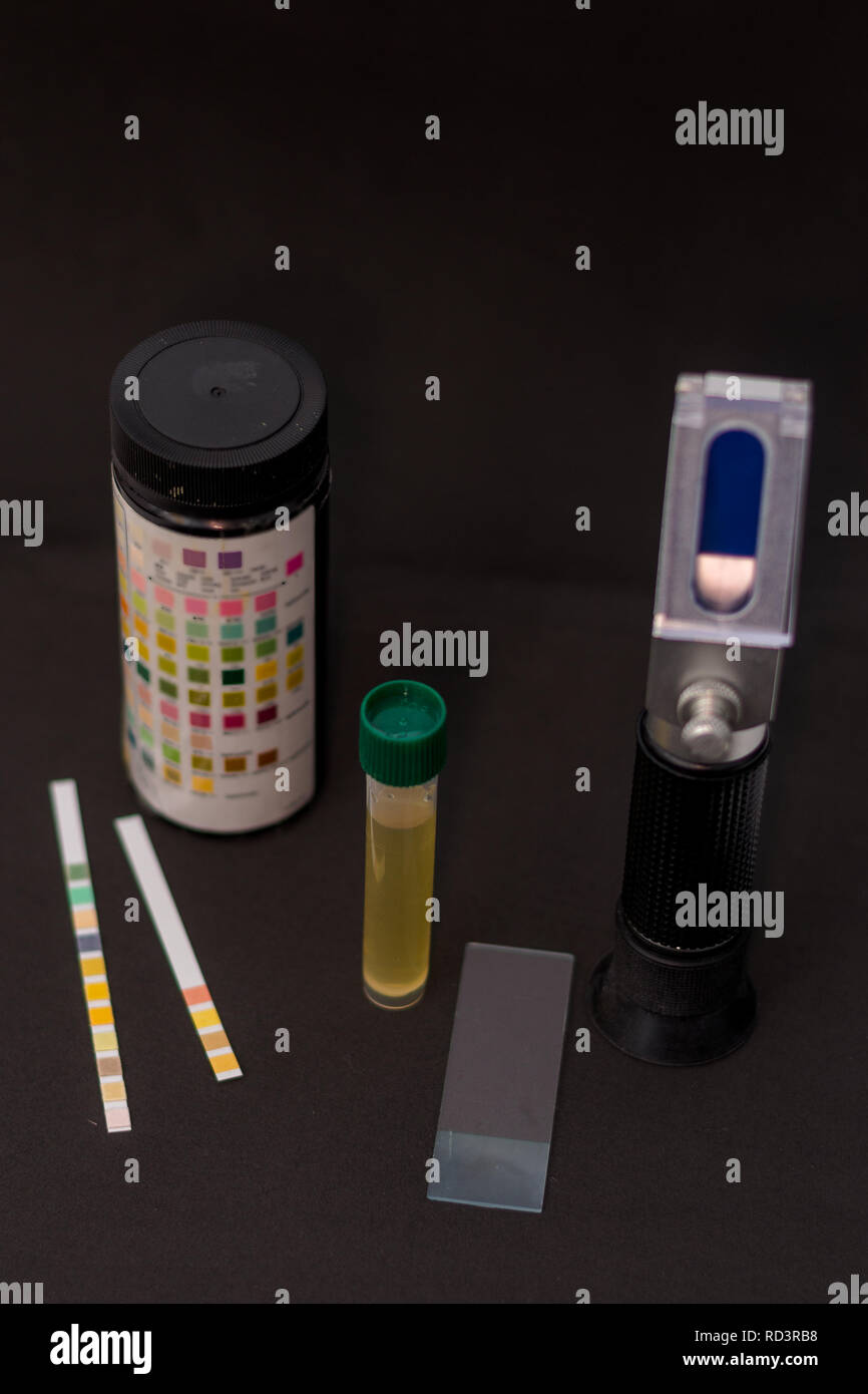 quick tests for urine sample Stock Photo - Alamy