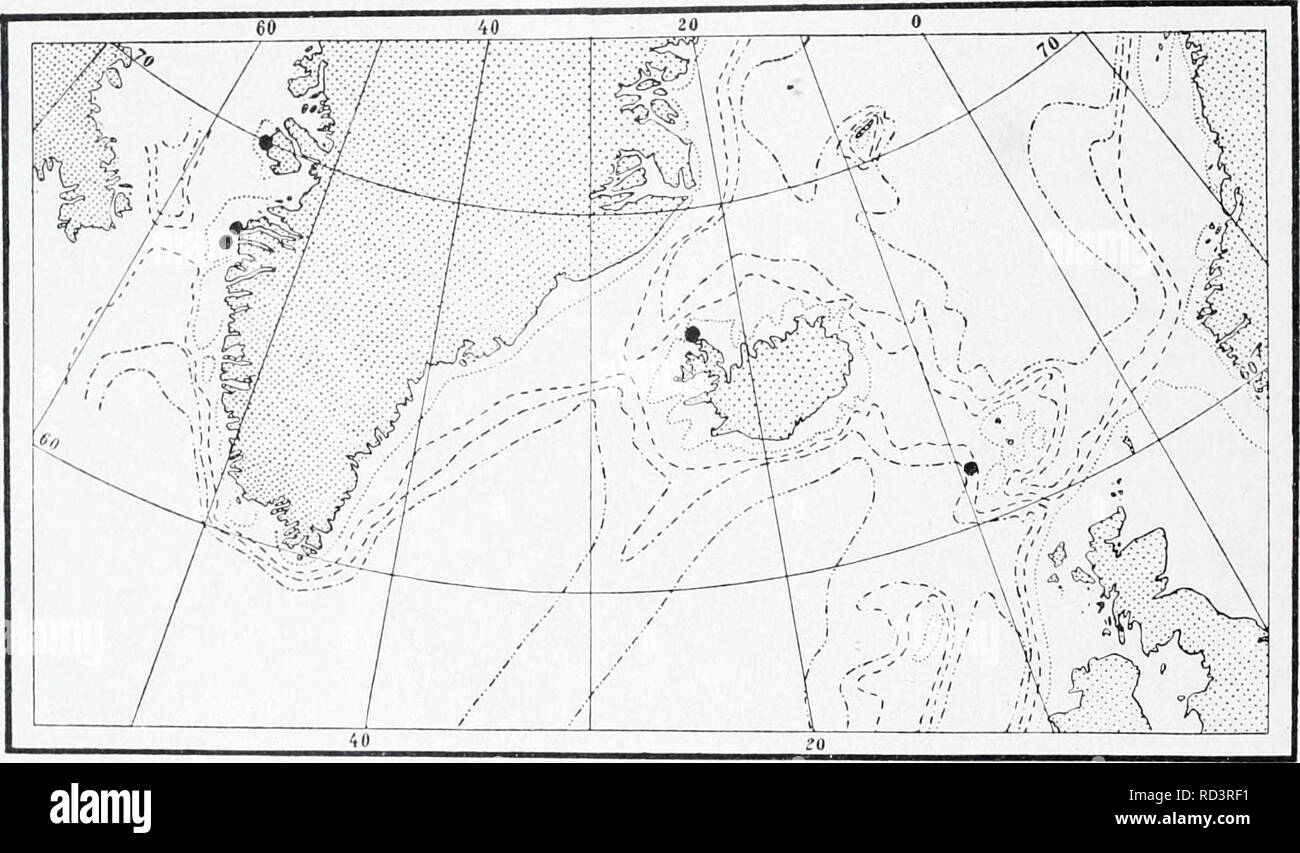 . The Danish Ingolf-expedition. Marine animals -- Arctic regions ...