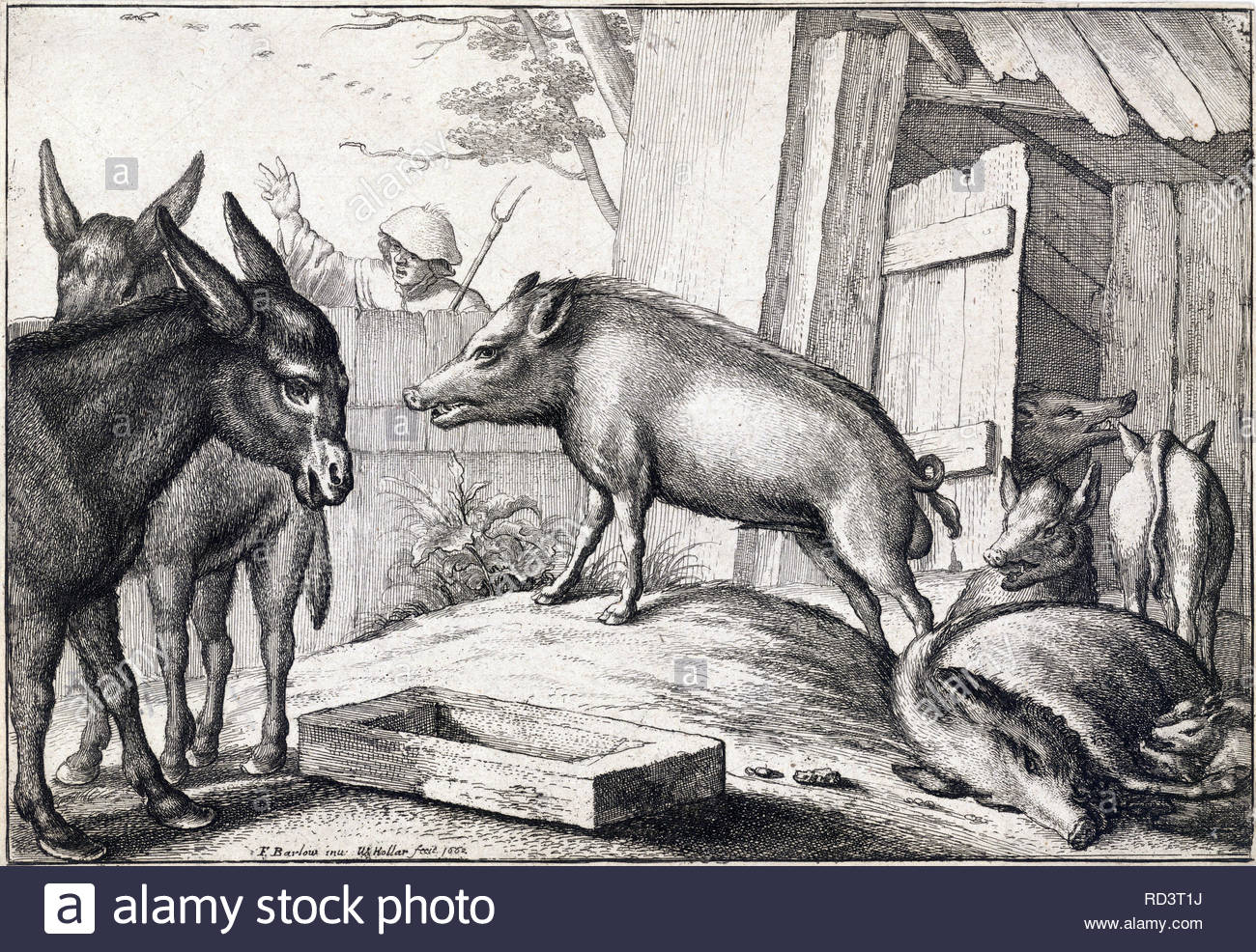 Donkey antique drawing hi-res stock photography and images - Alamy