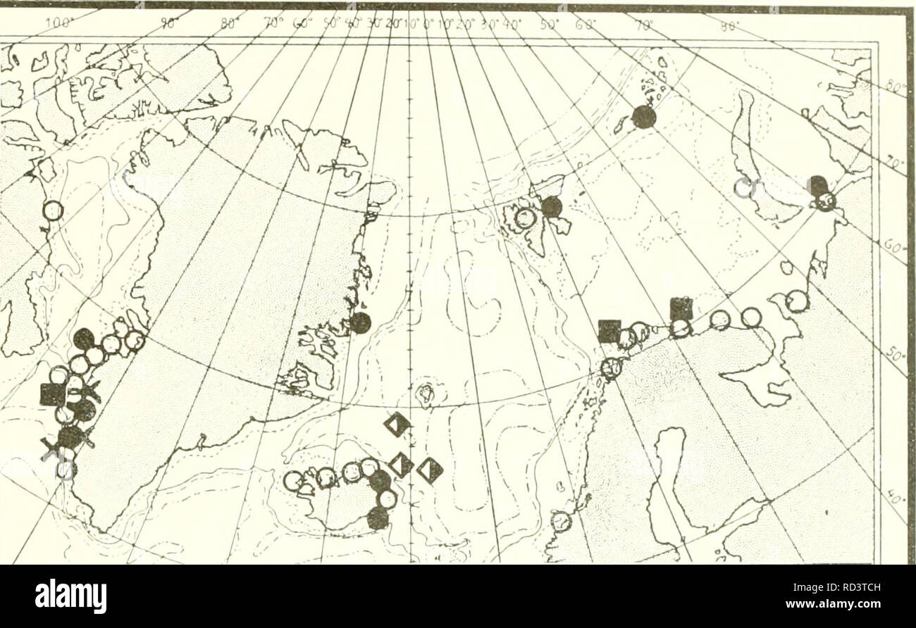 . The Danish Ingolf-expedition. Marine animals -- Arctic regions ...