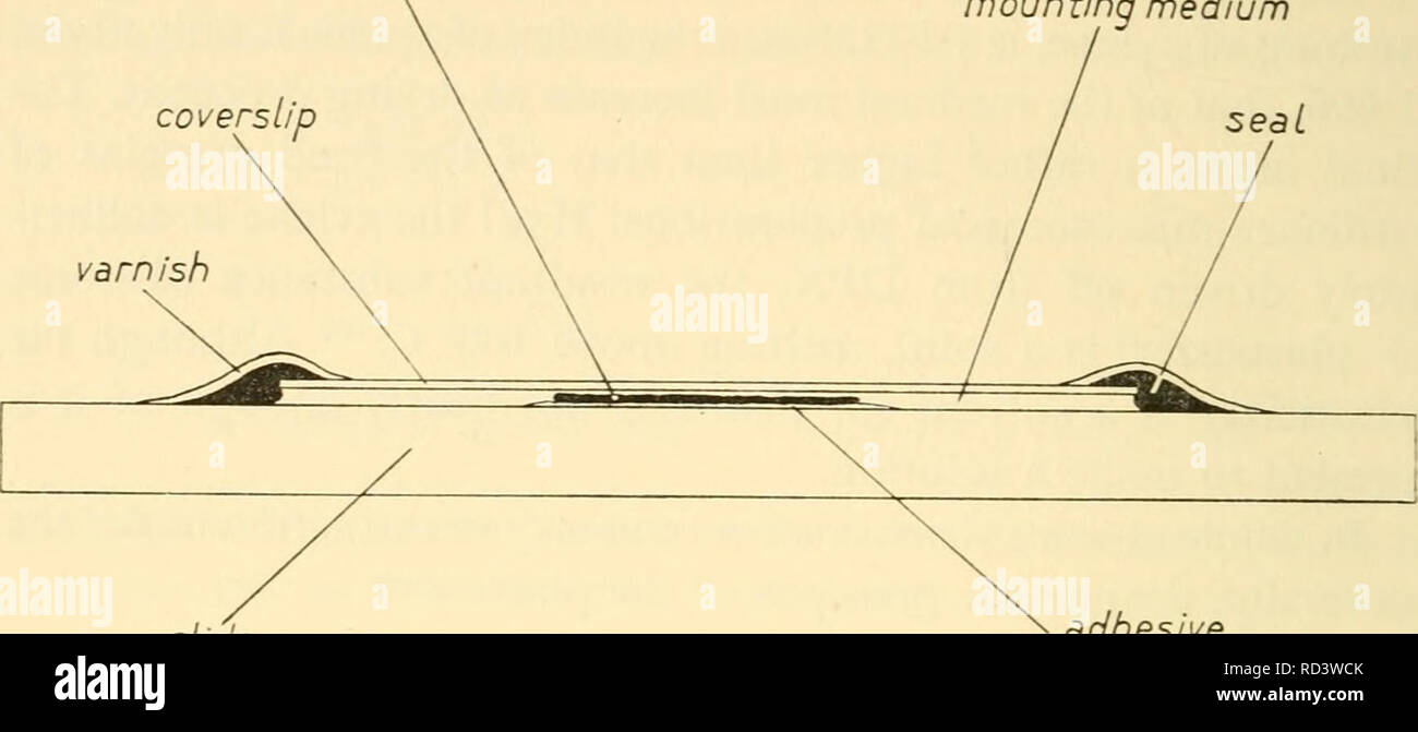 Cytology slide preparation hi-res stock photography and images - Alamy