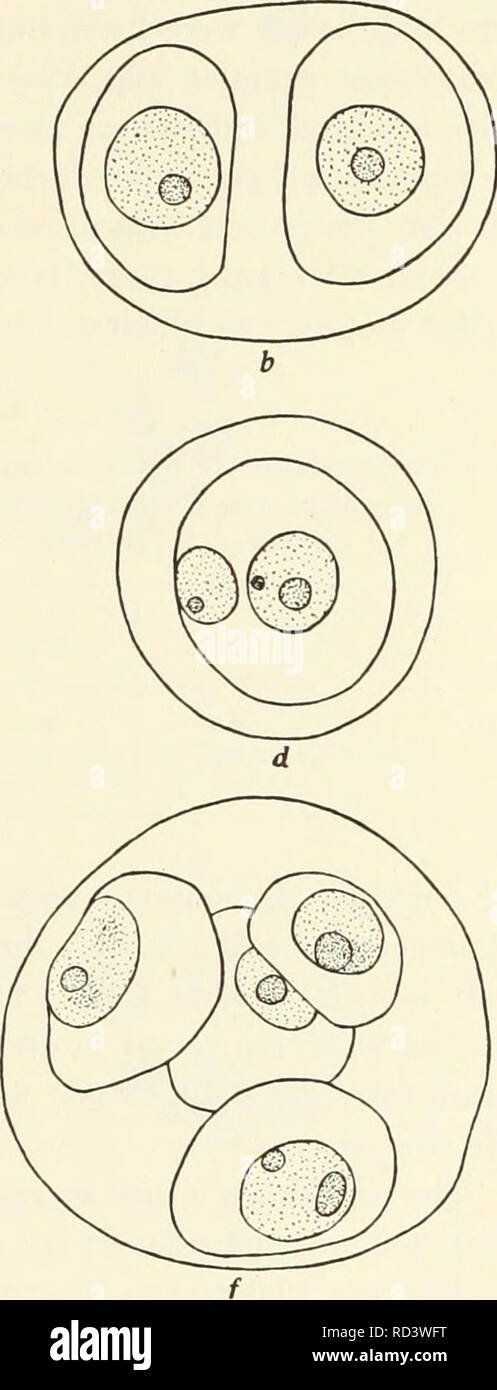 Diad hi-res stock photography and images - Alamy
